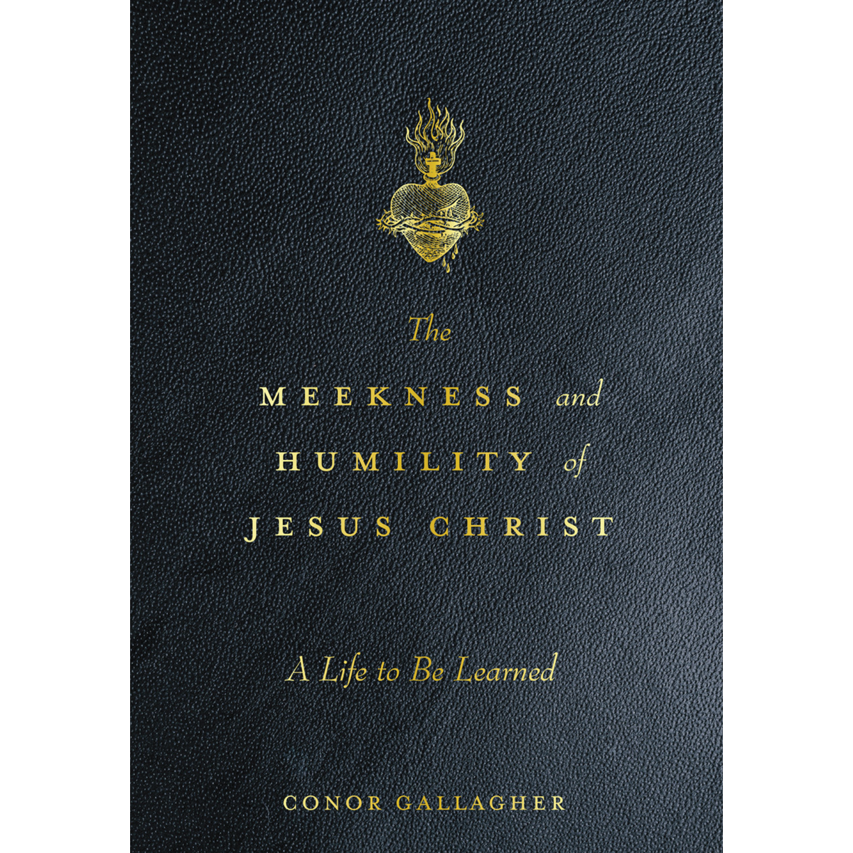 The Meekness and Humility of Jesus Christ by Conor Gallagher – Catholic ...